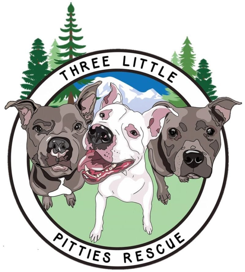 Three Little Pitties Brick Campaign - Fundraising Brick