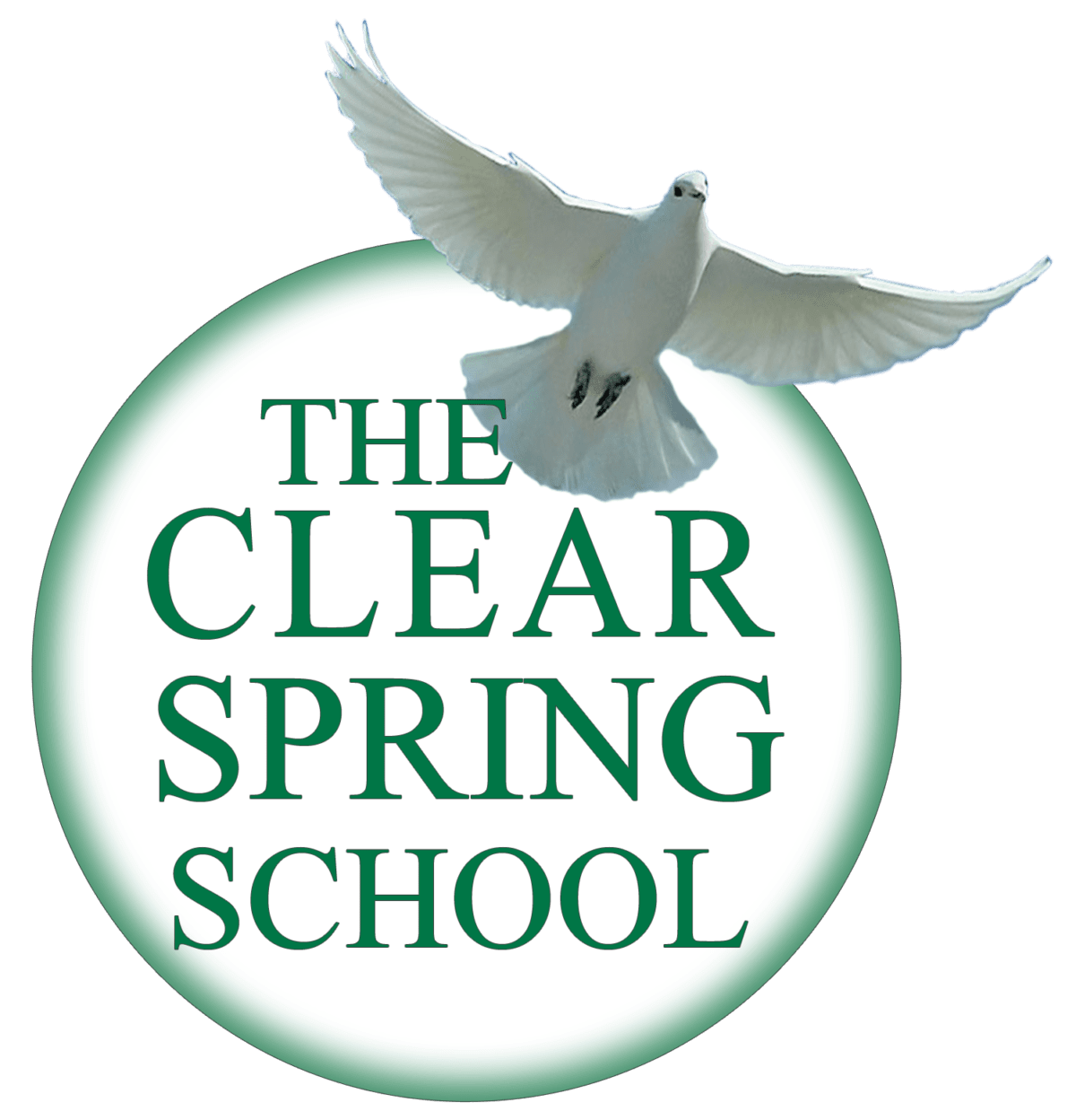 Clear Spring School – “Building a Path to the Future” - Fundraising Brick