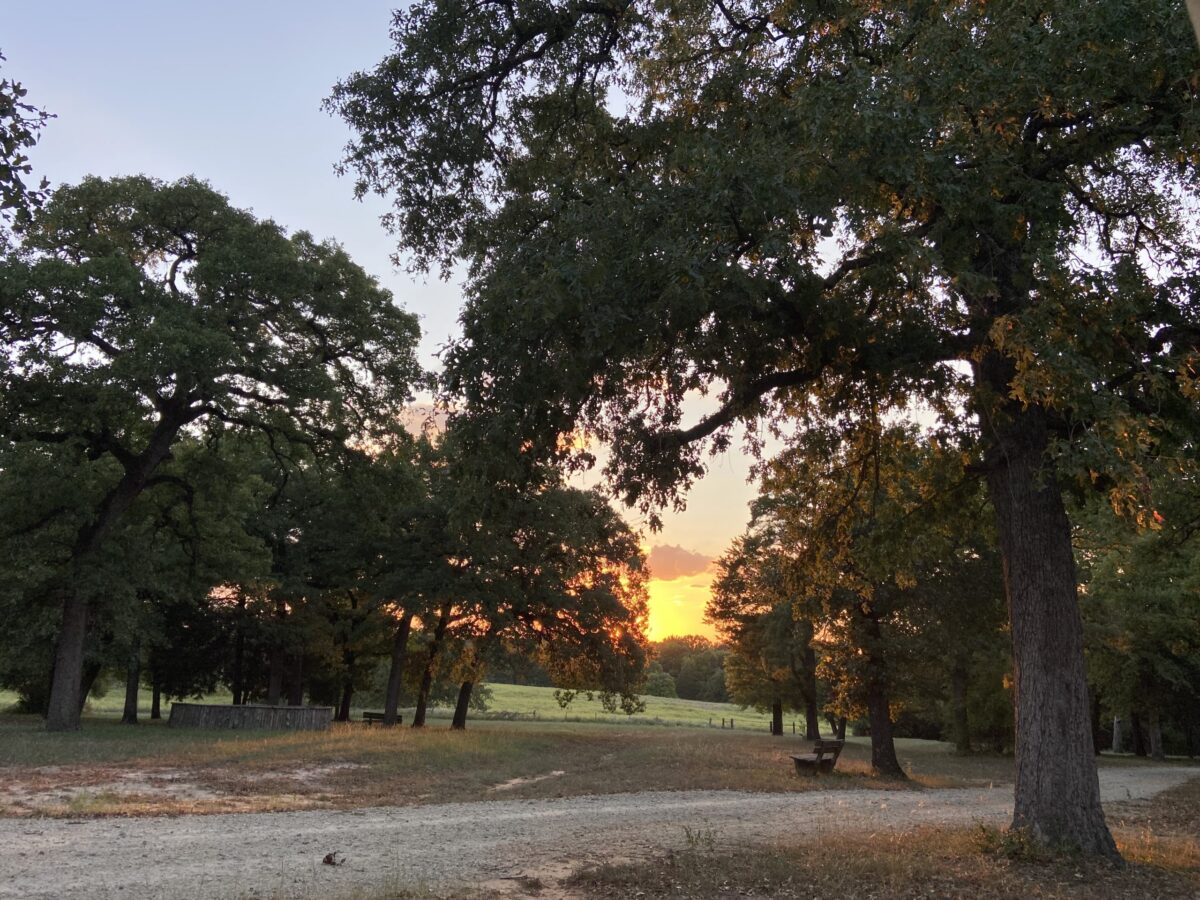 Beloved and Beyond Brick Fundraiser - Fundraising Brick