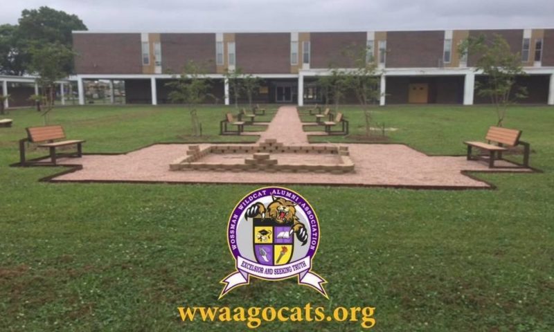 Wossman Wildcat Alumni Association & WHS 50th Anniversary - Fundraising ...