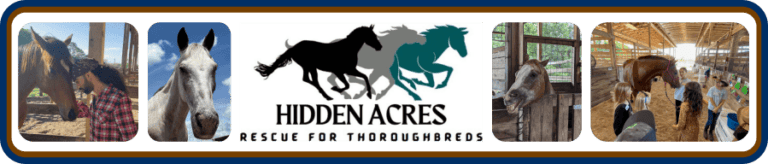 Hidden Acres Land Acquisition Brick Fundraiser - Fundraising Brick