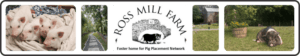 Walkway at Ross Mill Farm's Memorial Bridge - Fundraising Brick