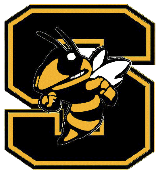 Yellow Jacket Baseball Logo