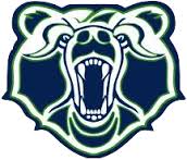 ThunderRidge High School – Grizzly Walk Brick Campaign - Fundraising Brick