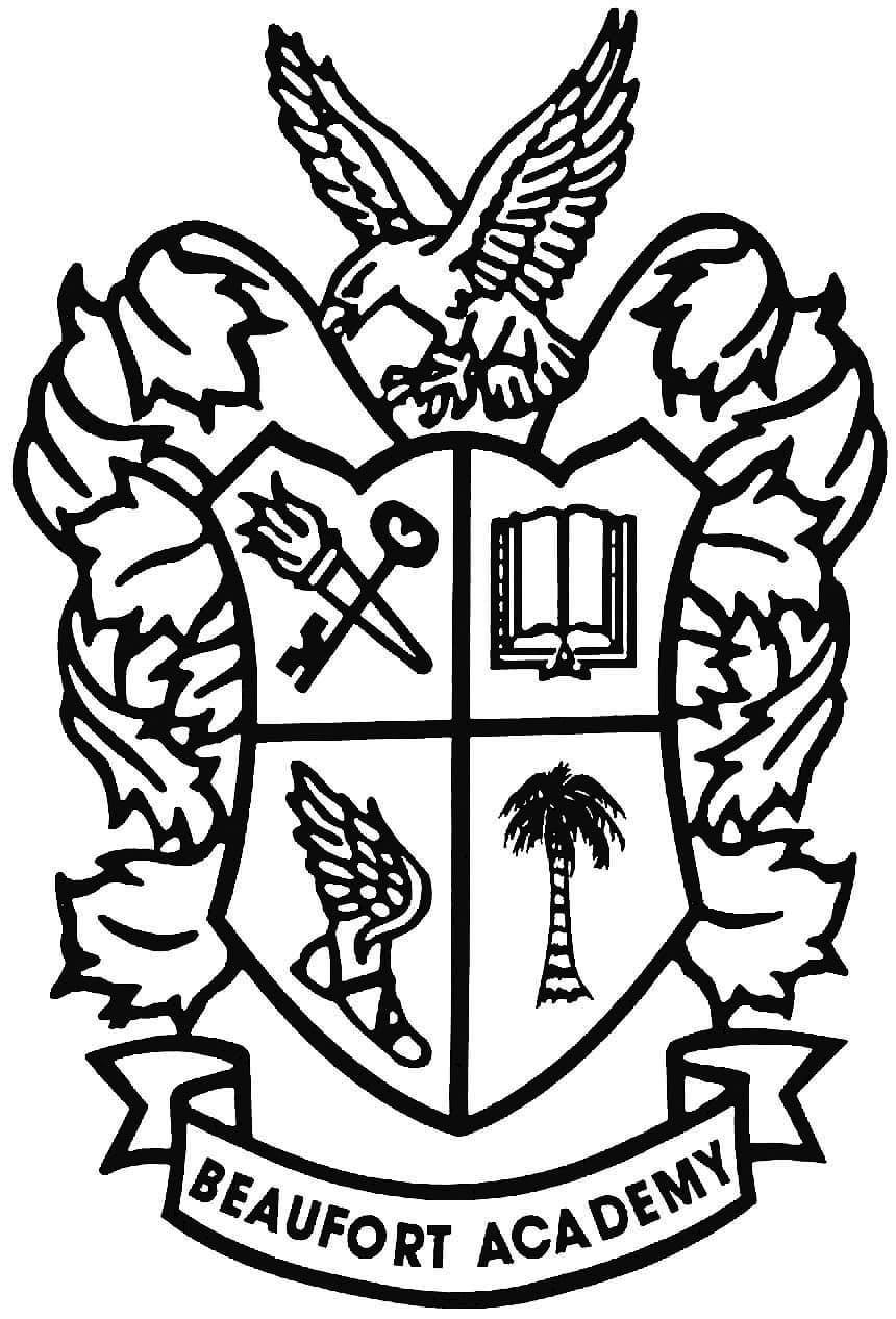 Beaufort Academy BA True Blue – Brick by Brick - Fundraising Brick