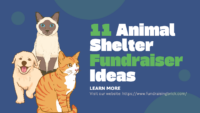 11 Animal Shelter Fundraiser Ideas That Are The Cat’s Meow ...